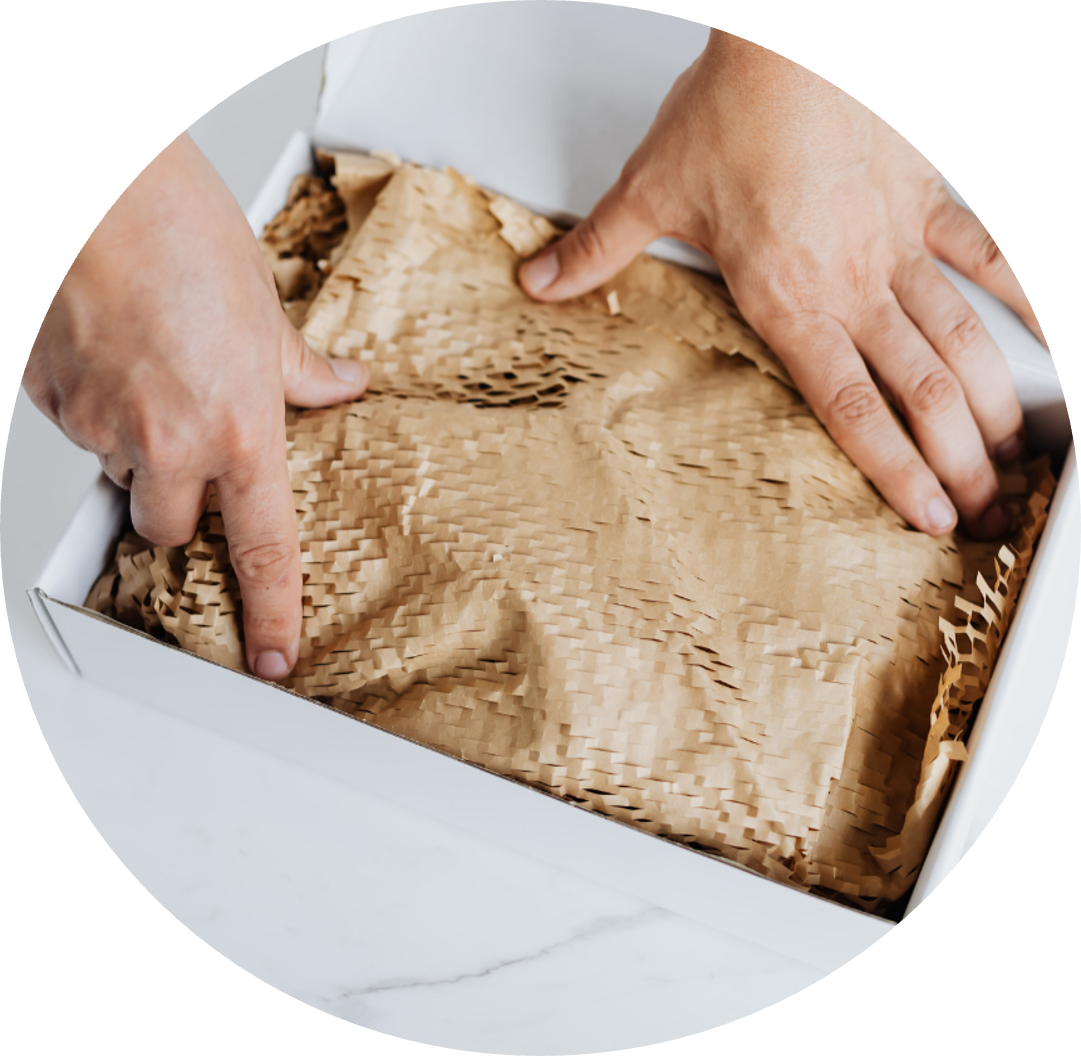 Top Notch Tropical – Top Notch Tropical