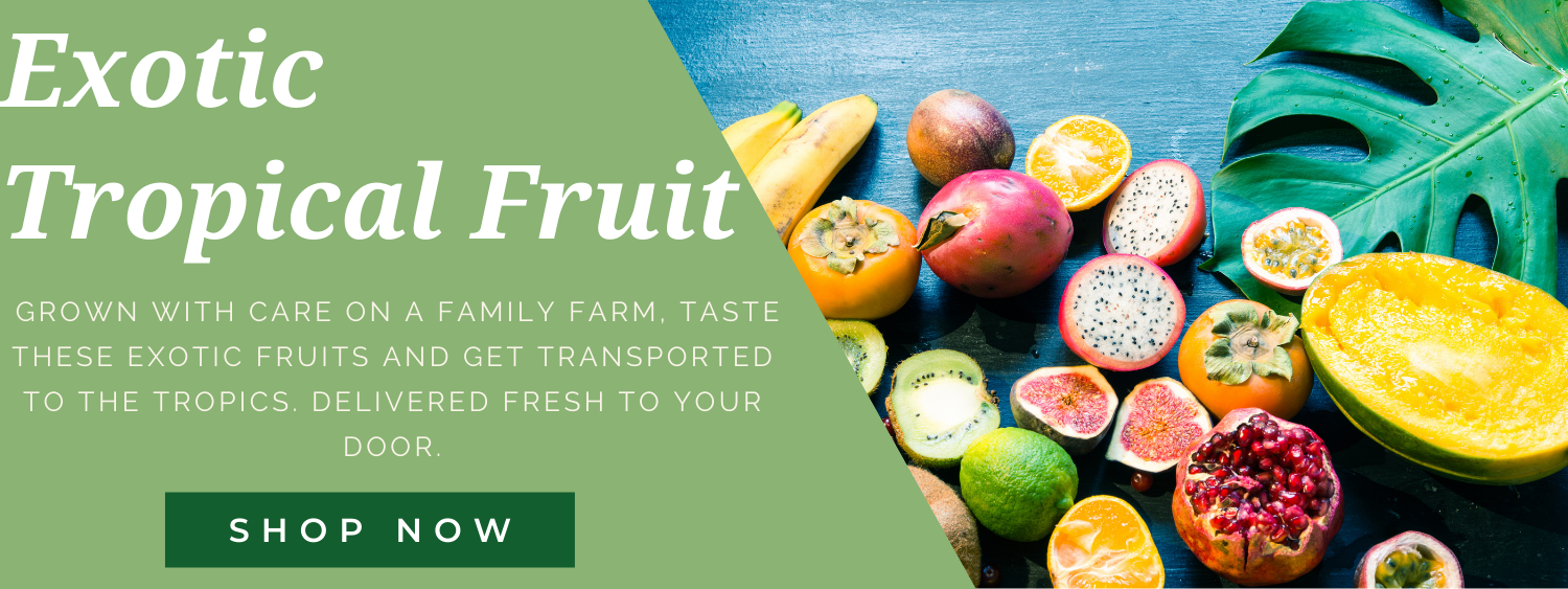 Top Notch Tropical – Top Notch Tropical