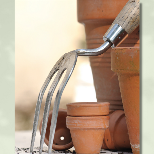 Top Notch Tropical – Top Notch Tropical